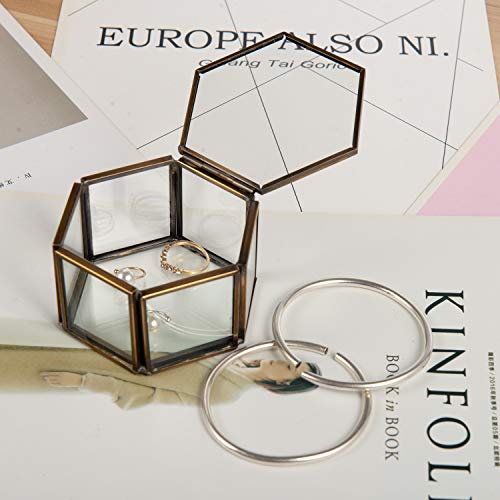 Feyarl Tiny Glass Jewelry Trinket Box Ornate Ring Earring Box Preserved Flower Glass Box Organizer Decorative Box with Lid for Wedding Dresser Deco(Brass)