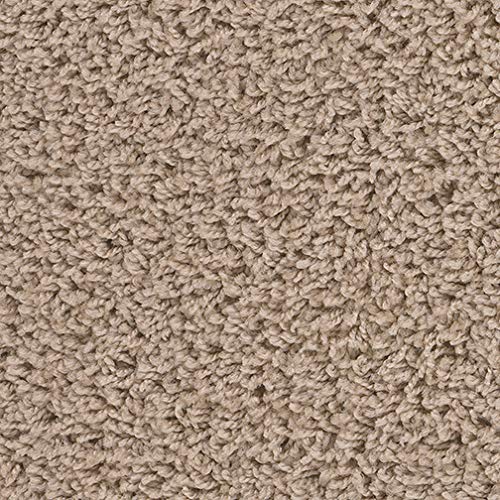 8’x10’ Taffy Apple Area Rug Carpet. 25 oz FHA Certified. Multiple Sizes and Shapes to Choose from
