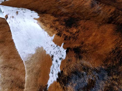 ecowhides | Genuine Cowhide Rug, Brindle White Belly Brazilian Cowskin, Area Rug, Western Home Decor, Premium Quality, Living Room Accessories, (X-Large) 7 x 6 ft