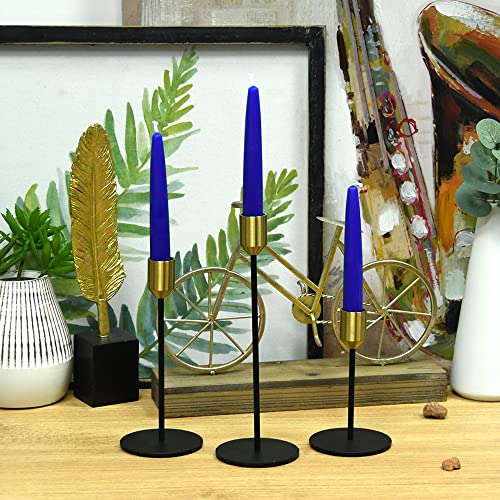 Zest Candle 12-Piece Taper Candles, 6-Inch, Royal Blue