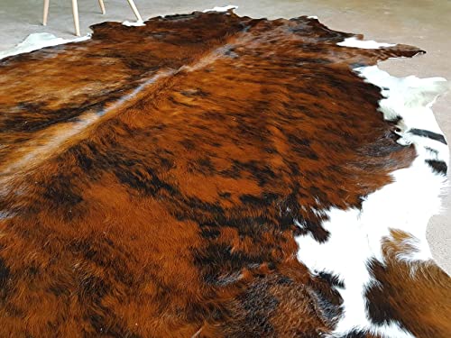 ecowhides | Genuine Cowhide Rug, Brindle White Belly Brazilian Cowskin, Area Rug, Western Home Decor, Premium Quality, Living Room Accessories, (X-Large) 7 x 6 ft