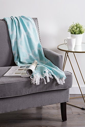 DII Modern Moroccan Cotton Blanket Throw with Fringe for Couch, Chair, Guest Room, Picnic, Camping, Beach, & Everyday Use, 50x60, Aqua