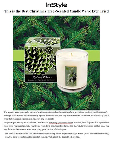 Soap & Paper Factory Roland Pine 9.5 oz Large Soy Candle