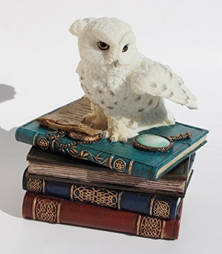 US 4.75 Inch Snow Owl Flap Wings on Books Trinket Box, White Color