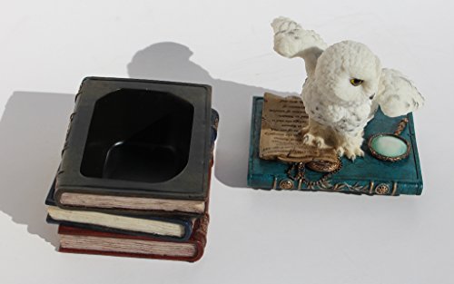 US 4.75 Inch Snow Owl Flap Wings on Books Trinket Box, White Color
