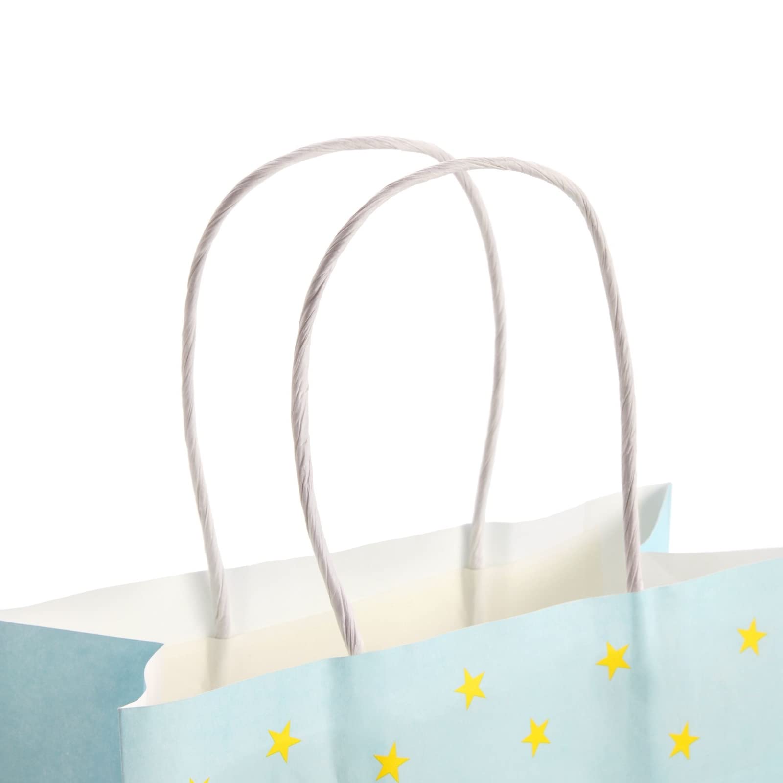Rainbow Gift Bags with Handles and White Tissue Paper (15 Pack)