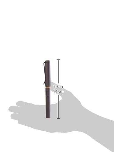 Lamy Safari Fountain Pen - Charcoal - Fine