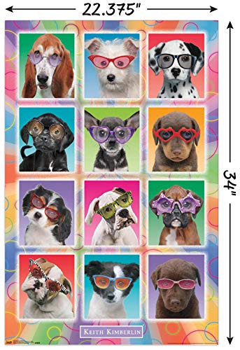 Trends International Keith Kimberlin - Puppies - Sunglasses Wall Poster, 22.375" x 34", Unframed Version