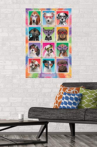 Trends International Keith Kimberlin - Puppies - Sunglasses Wall Poster, 22.375" x 34", Unframed Version