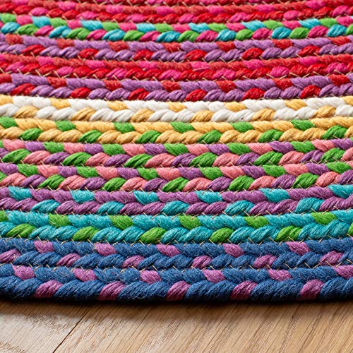 SAFAVIEH Braided Collection 3' x 5' Oval Multi BRD316A Handmade Boho Reversible Area Rug