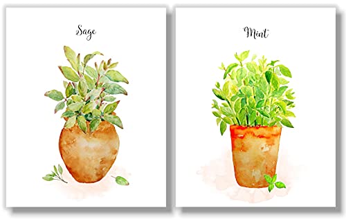 Kitchen Wall Art - Herbs Prints in Pots (Set of 7) - Farmhouse Decor - Unframed Botanical Prints (5x7)