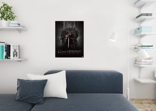 Game of Thrones You Win or You Die Iron Throne Ned Stark TV Cool Wall Decor Art Print Poster 24x36