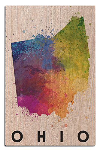 Ohio, State Abstract Watercolor Birch Wood Wall Sign (12x18 Rustic Home Decor, Ready to Hang Art)
