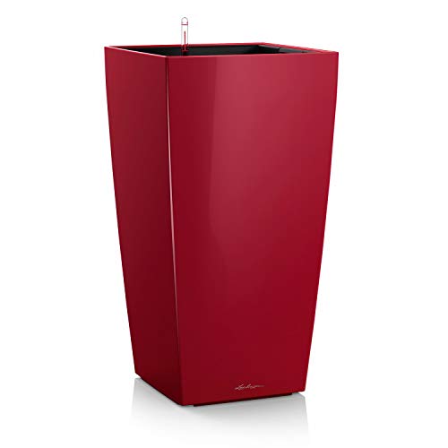Lechuza Cubico Premium 30 - All-In-One, Scarlet