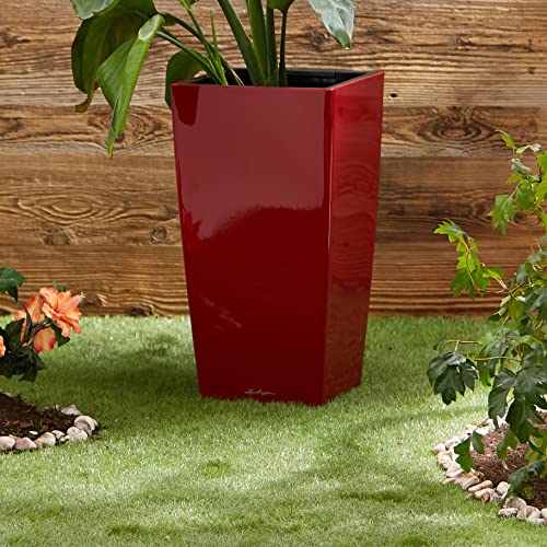 Lechuza Cubico Premium 30 - All-In-One, Scarlet