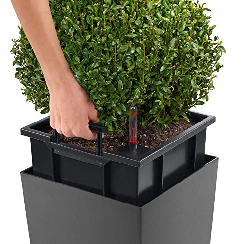 Lechuza Cubico Premium 30 - All-In-One, Scarlet