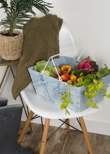 DII Farmhouse Chicken Wire Egg Basket, Storage Baskets with Liner, Aqua, 16x12x7.88"