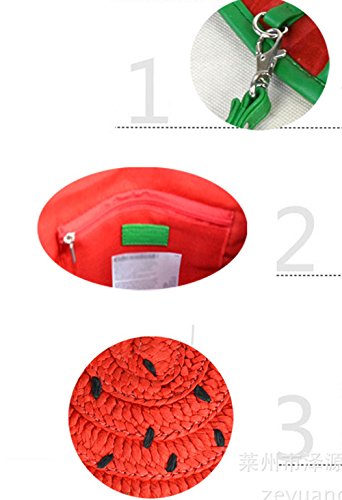 Watermelon Fruit Women's Straw Plaited Article Handbag