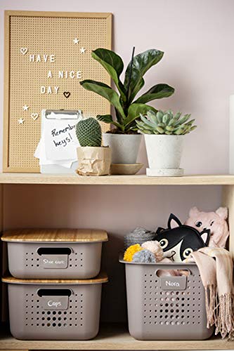 SmartStore Basket Bamboo Lid Colour, One Size