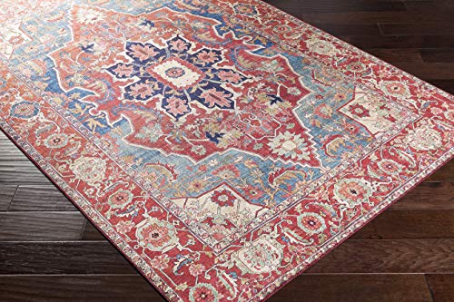 Artistic Weavers Lyyti Area Rug 7'6" x 9'6", 7 ft 6 in x 9 ft 6 in, Bright Red/Blue