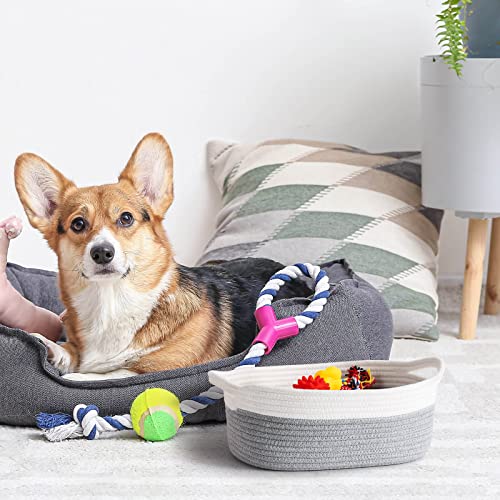 Goodpick Small Woven Basket Cute Gray Rope Basket Cotton Basket Baby Room Storage Basket Dog Toy Basket with Handles Empty Gift Basket for Shelf 12"x 8" x 5" Easter Basket Oval Candy Color Design