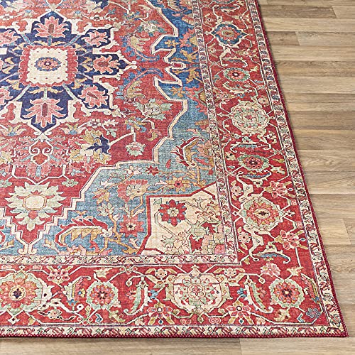 Artistic Weavers Lyyti Area Rug 7'6" x 9'6", 7 ft 6 in x 9 ft 6 in, Bright Red/Blue