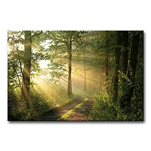 Forest Wall Art Modern Canvas Painting The Picture for Home DecorationTrees Foggy Morning Spring Landscape Print On Canvas Giclee Artwork for Wall Decor