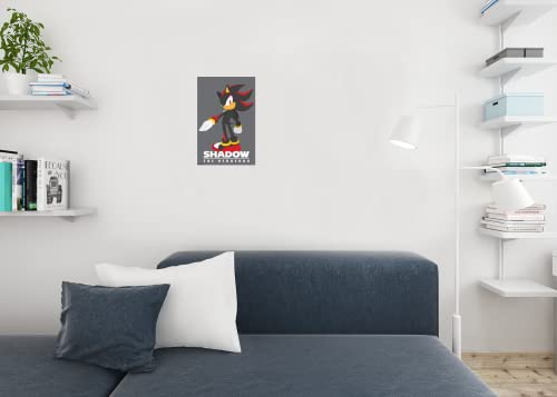 Pyramid America Sonic The Hedgehog Shadow Sega Video Game Gaming Cool Wall Decor Art Print Poster 12x18