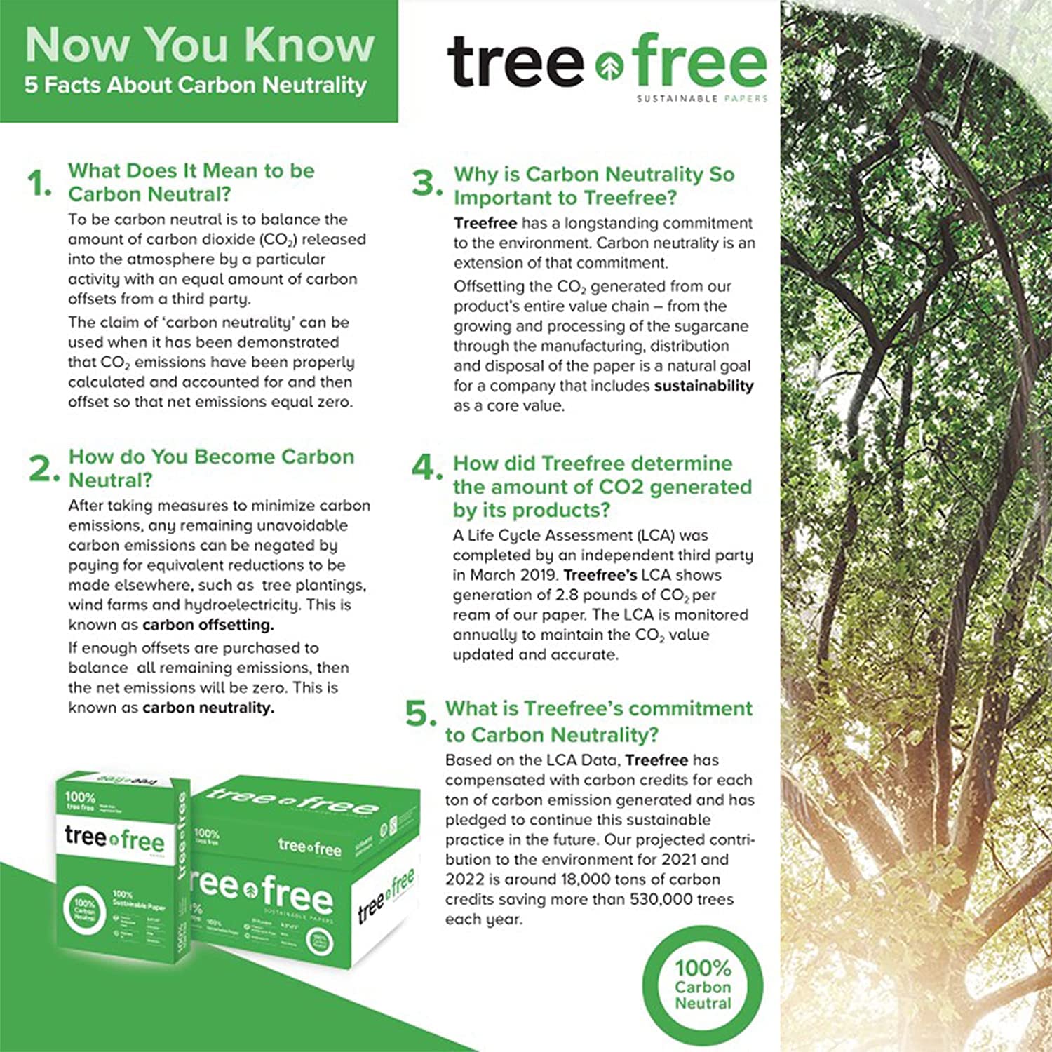Tree Free Copy Paper, 20 LB, 8.5" x 11", 92 Bright 100% Tree Free Carbon Neutral Acid Free, Made from Sugarcane Waste Fiber (500/Ream), 3-Reams