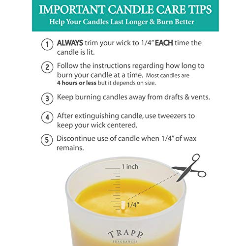 Trapp Signature Home Collection No. 13 Bob's Flower Shoppe Poured Scented Candle, 7oz (Set of 2)