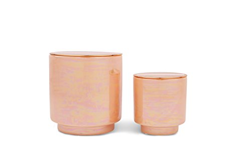 Paddywax Candles Glow Collection Scented Soy Wax Blend Candle in Iridescent Ceramic Pot, Medium- 17 Ounce, Rosewater & Coconut