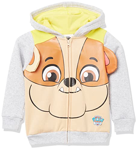 Paw Patrol Toddler Boys -Costume Hoodie Heather Grey