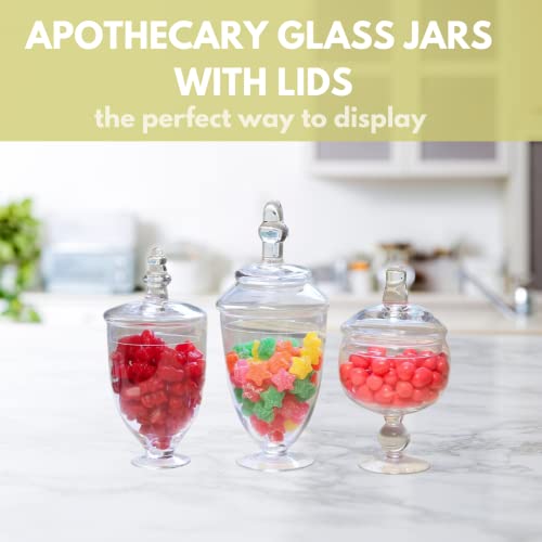Mantello Apothecary Jars with Lids- Decorative Glass Candy Bar Containers (Clear, Small, Set of 3)