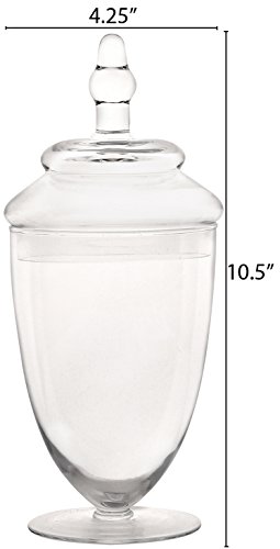Mantello Apothecary Jars with Lids- Decorative Glass Candy Bar Containers (Clear, Small, Set of 3)