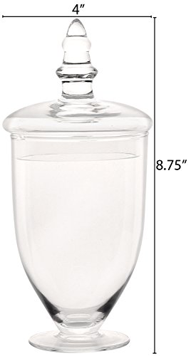 Mantello Apothecary Jars with Lids- Decorative Glass Candy Bar Containers (Clear, Small, Set of 3)