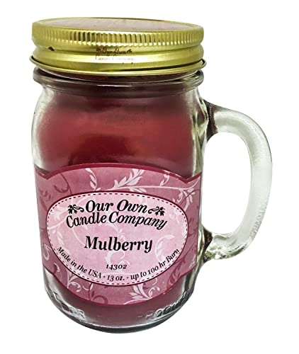 Our Own Candle Company Mulberry Scented 13 Ounce Mason Jar Candle