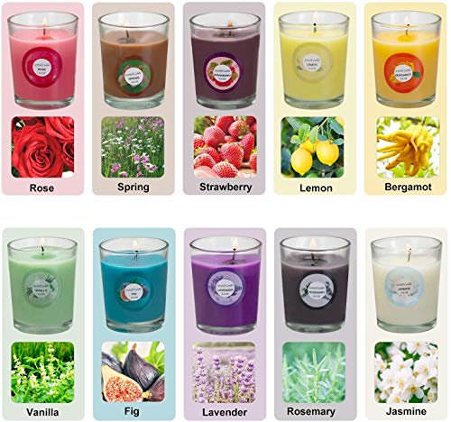 Howemon Scented Candles, Anxiety Reducer,Lavender, Lemon, Spring,Strawberry, Rosemary, Jasmine, Rose, Vanilla, Bergamot, fig, Aromatherapy Organic Massage Candles - 20 Pack