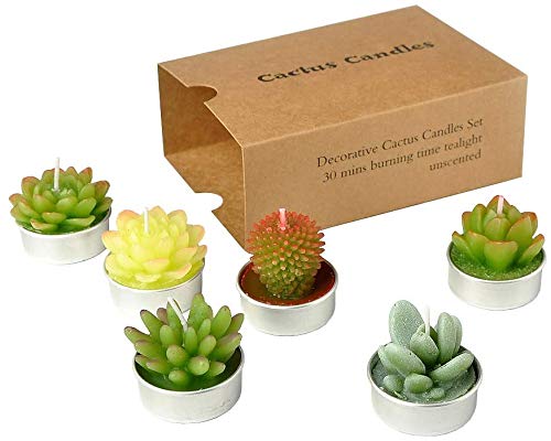 SSleng Cactus Tealight Candles, Handmade Delicate Succulent Cactus Candlesďź Perfect for Birthday Party ,Wedding, Spa, Home Decor)