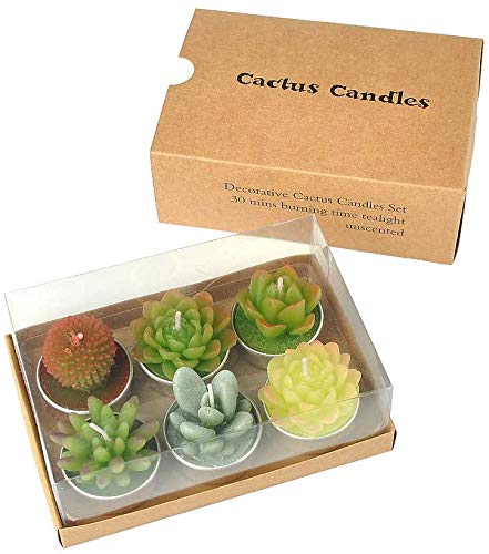SSleng Cactus Tealight Candles, Handmade Delicate Succulent Cactus Candles（ Perfect for Birthday Party ,Wedding, Spa, Home Decor)