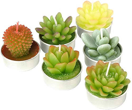SSleng Cactus Tealight Candles, Handmade Delicate Succulent Cactus Candles（ Perfect for Birthday Party ,Wedding, Spa, Home Decor)