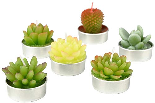 SSleng Cactus Tealight Candles, Handmade Delicate Succulent Cactus Candles（ Perfect for Birthday Party ,Wedding, Spa, Home Decor)
