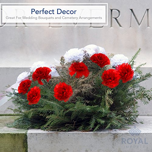 Royal Imports Artificial Carnations, Silk Faux Flowers, for Funeral Arrangements, Wedding Bouquets, Cemetery Wreaths, DIY Crafts - 100 Single 5" Stems - Green