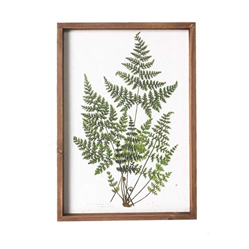 NIKKY HOME Botanical Plant Prints Framed - 20" x 14" Fern Pictures Art Wall Decor - Vintage Look with Real Wood Frames