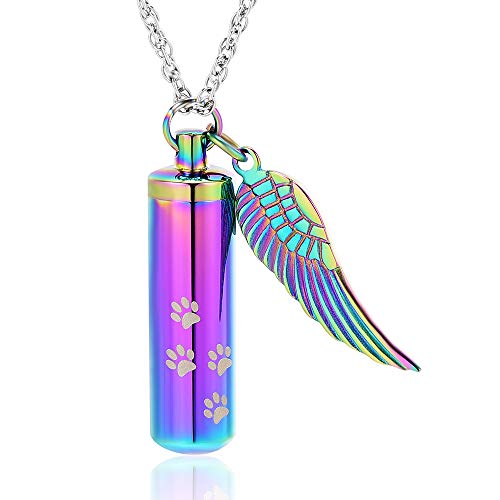 shajwo Cremation Jewelry Paw Print Urn Necklaces for Human Pet Ashes Cylinder Urn Pendant Keepsake Memorial Ash Locket Holder Necklace for Men Women,Rainbow