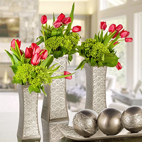 Creative Scents Dublin Decorative Tray and Orbs Balls Set - Centerpiece Bowl with Balls for Dining Room Table, Rustic Decorated Spheres Kit for Living Room Coffee Table, Gift Boxed (Brushed Silver)