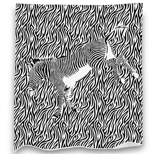 Loong Design Fun Zebra Throw Blanket Super Soft, Fluffy, Premium Sherpa Fleece Blanket 50'' x 60'' Fit for Sofa Chair Bed Office Travelling Camping Gift