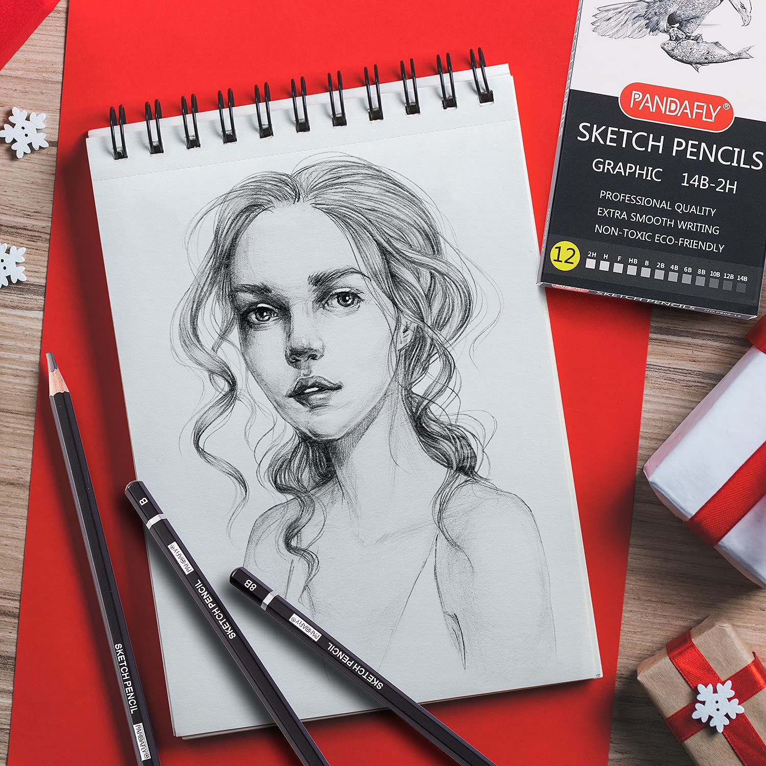 PANDAFLY Professional Drawing Sketching Pencil Set - 12 Pieces Graphite Pencils(14B - 2H), Ideal for Drawing Art, Sketching, Shading, Artist Pencils for Beginners & Pro Artists