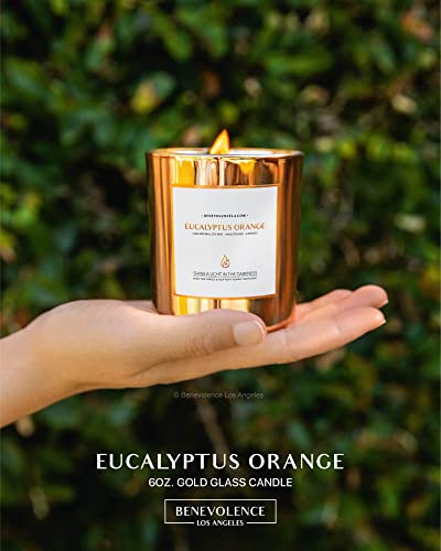 Benevolence LA Eucalyptus & Orange Wood Wick Candles | 8 oz Scented Candles for Home Scented | Natural Soy Candles Gifts for Women | 45 Hour Burn Aromatherapy Candle | Perfect Spring Candles