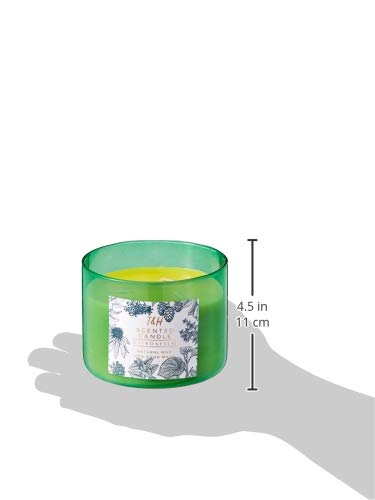 Large Citronella Candles Outdoor Indoor Candle Made with Natural Soy and Essential Oils | 3 Wick Candle 80 Hour Burn | 15.8 oz Highly Scented Aromatherapy Candles for Home | Balcony & Patio Candle