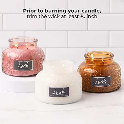 A Cheerful Giver - Amber Bergamot Patchouli - 20oz Large Scented Candle Jar with Lid- Lush - 95 Hours of Burn Time, Gift for Women, Pink